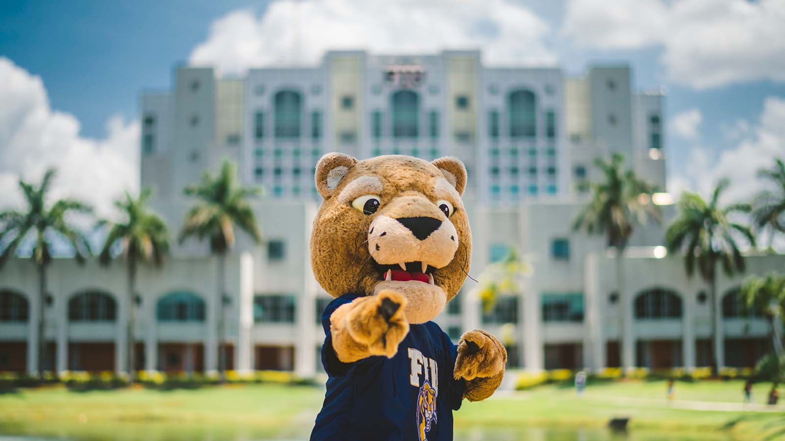 FIU Pantera Design System